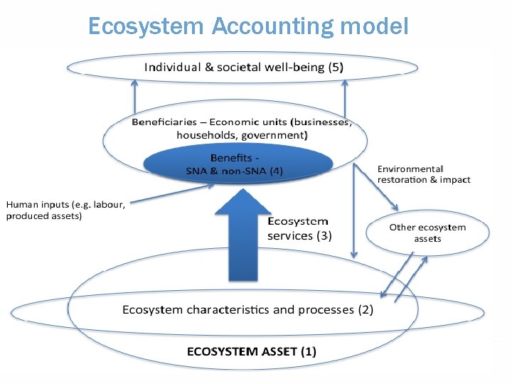 Overview of the SEEA Experimental Ecosystem Accounting Bram
