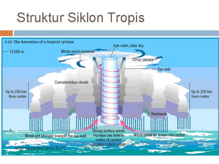 SIKLON TROPIS Meteorologi laut M Arif Zainul Fuad