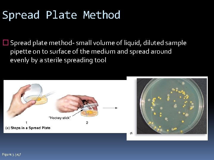 Microbiology techniques Basic 3 1 Methods of Culturing