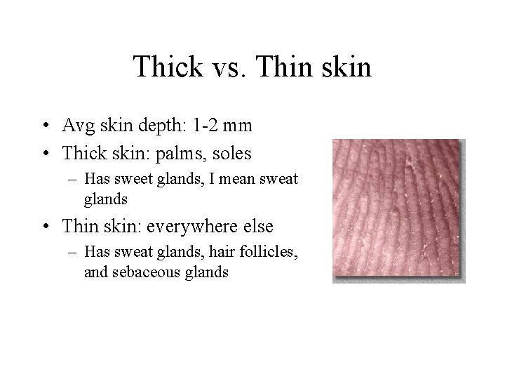 The Integumentary System Skin Hair and Nails How