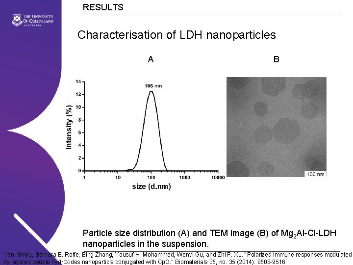 Using layered double hydroxide nanoparticles conjugated with Cp