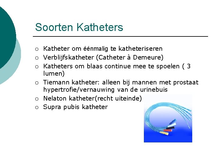 Made by Rina Niemeijer Katheteriseren Anatomie van de