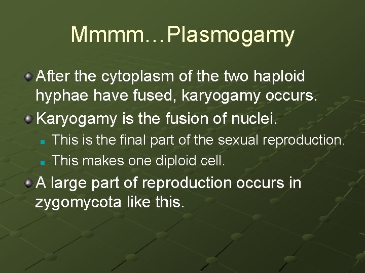 Zygomycota The Stuff That Just Makes You Say