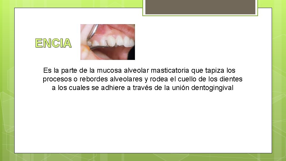 ANATOMIA DEL PERIODONTO Dra Karla Rpalo Objetivo de