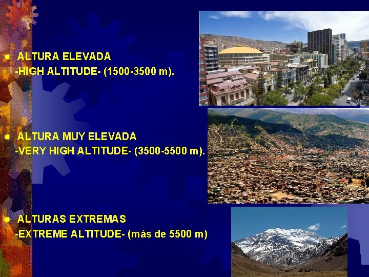 ACLIMATACIN COMPRENDE EL CONJUNTO DE MECANISMOS FISIOLOGICOS QUE