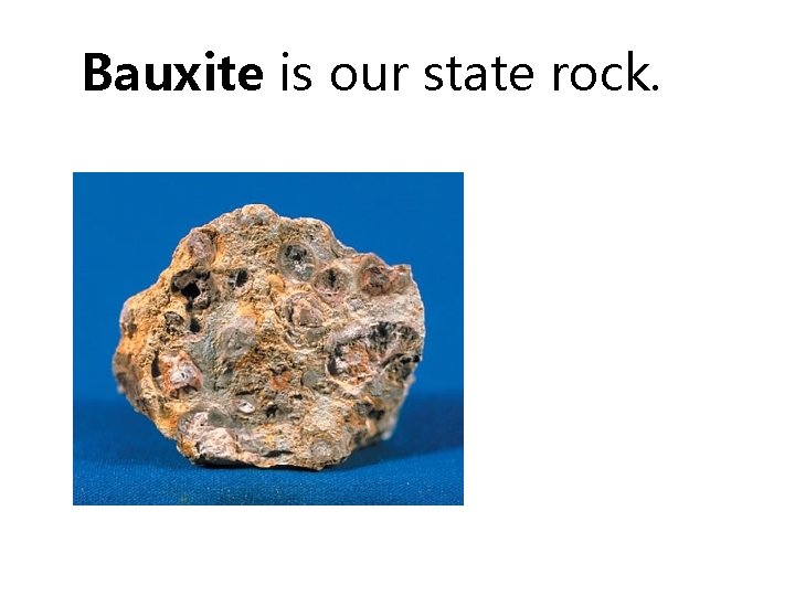 State Symbols Photo by Ken Slade Conversatio n