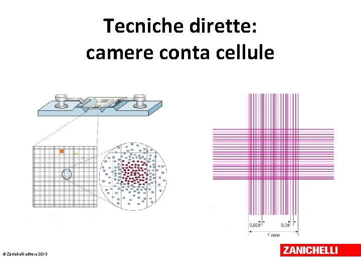 TECNICA DI LABORATORIO Valutazione quantitativa dei microrganismi in