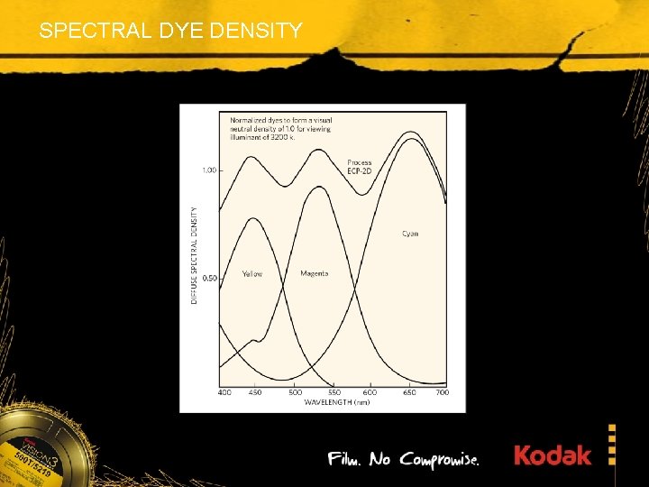 BASIC SENSITOMETRY AND CHARACTERISTICS OF FILM The Essential
