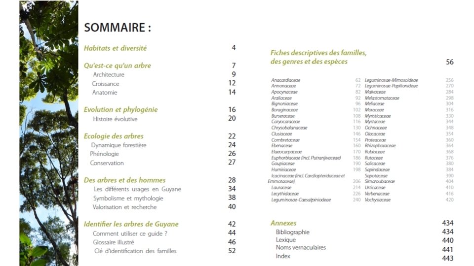Guide de reconnaissance des arbres de Guyane 1