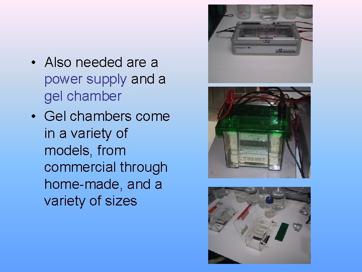 Gel Electrophoresis of DNA Molecular Genetics Presentation by