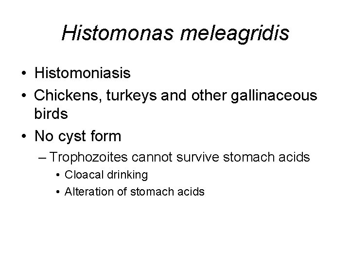 Other Flagellated Protozoa Giardia duodenalis Spironucleus meleagridis ...