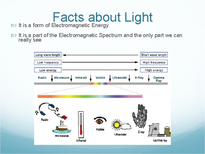 Light and Reflection Level 1 Physics Facts about