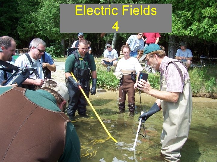 Electric Fields 4 Overview Session 4 covers electricity