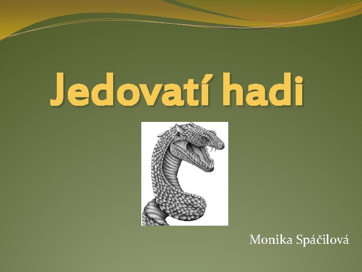 Jedovat hadi Monika Spilov Hadi Serpentes Tda Plazi