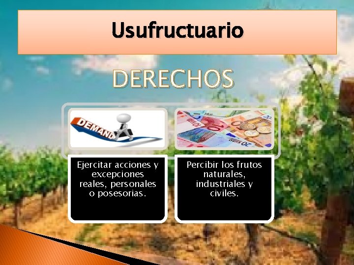 Derechos reales SERVIDUMBRE Y USUFRUCTO L D Citlali