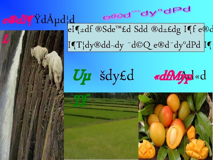 ed I ddd e Idf Sded Sdd ddg