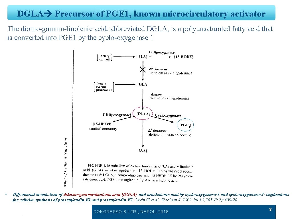 Liposomal solution containing DGLA Equol and Carnitine for