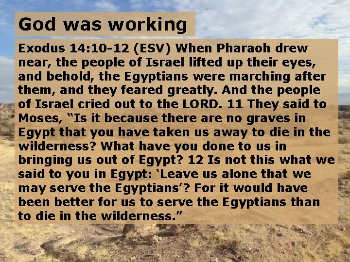 Exodus 13 15 The Deliverance of God Review