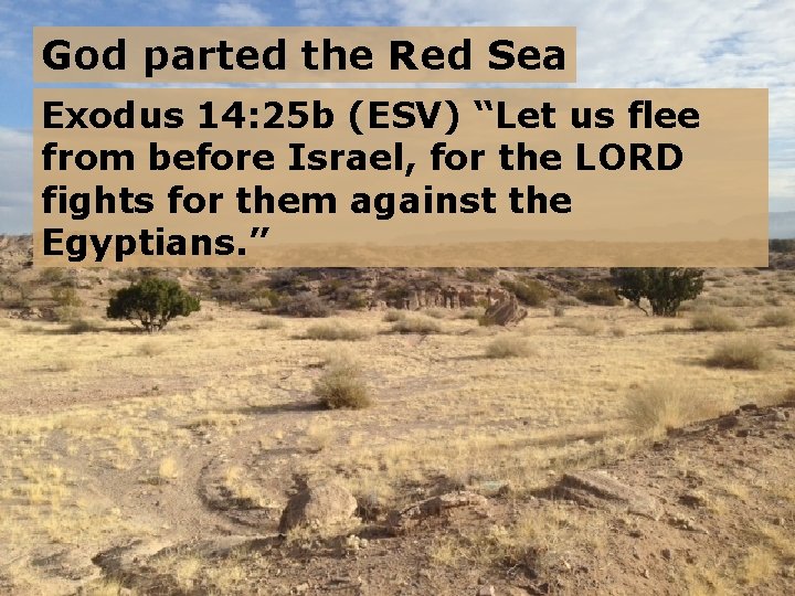 Exodus 13 15 The Deliverance of God Review