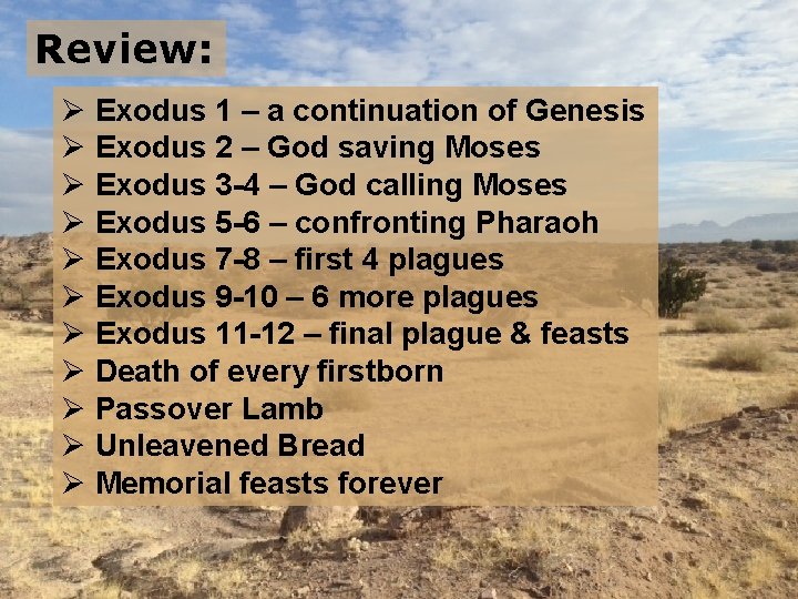 Exodus 13 15 The Deliverance of God Review