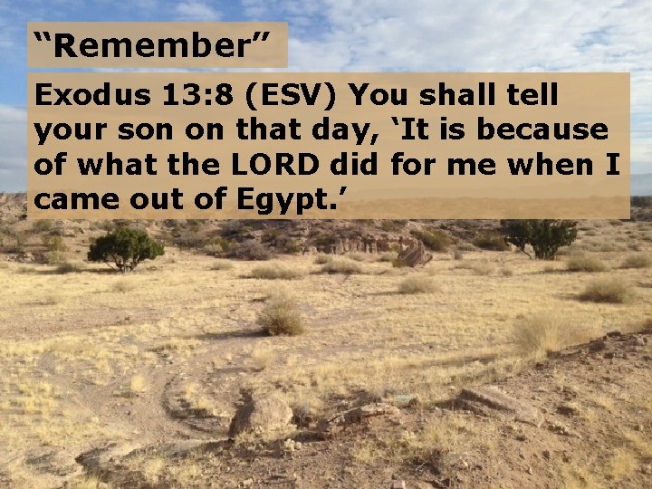 Exodus 13 15 The Deliverance of God Review