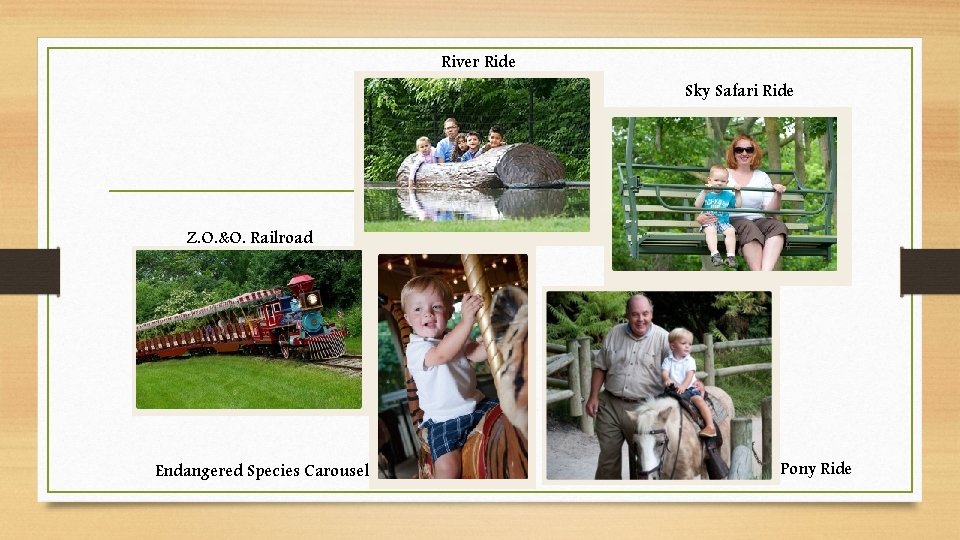 Fort Wayne Zoo Admission and Experiences Lesson 1