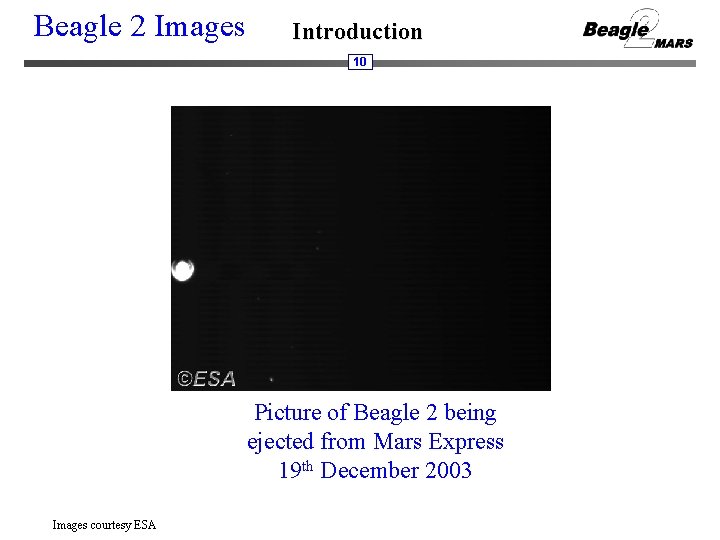 Introduction 1 Introduction to Beagle 2 Professor Mark