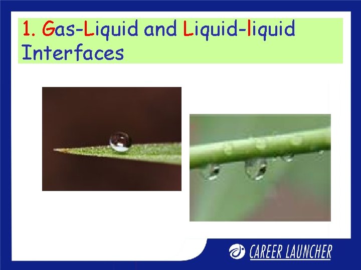 Chemistry Session Surface Chemistry 1 Introduction Importance of