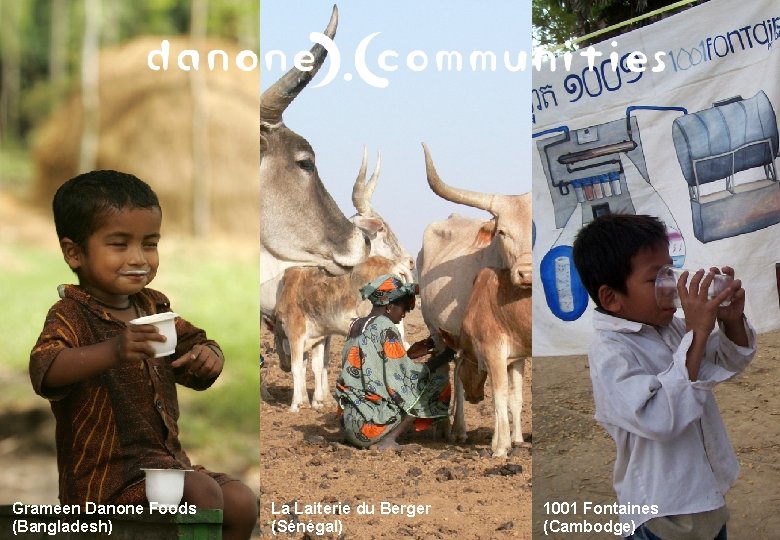 Grameen Danone Foods Bangladesh La Laiterie du Berger