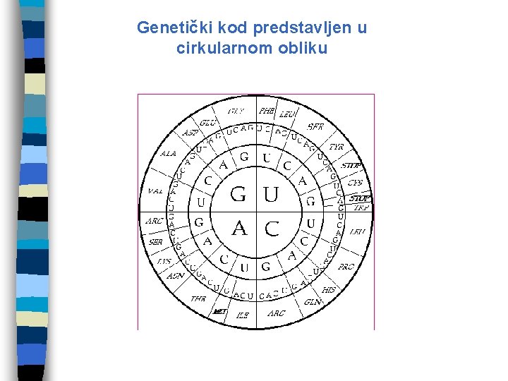 Struktura i funkcija genetikog materijala biohemijska genetika molekularna