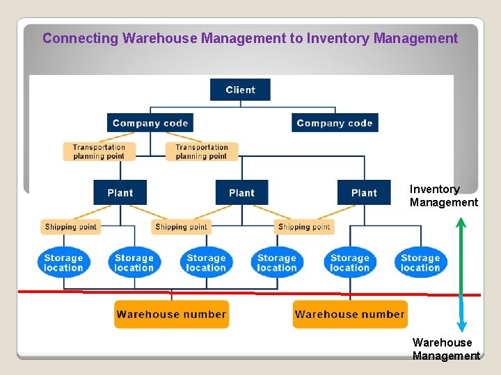 Warehouse Management Part 1 EGN 5622 Enterprise Systems