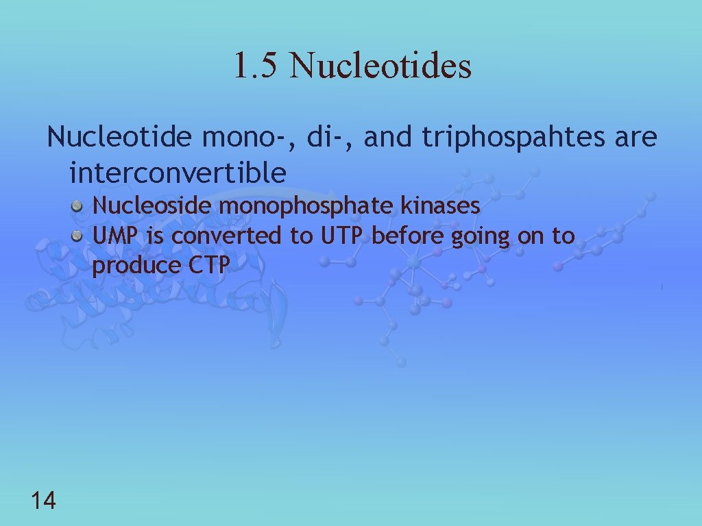 Lecture 12 Nucleotide Biosynthesis Chem 454 Regulatory Mechanisms