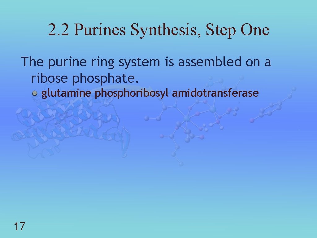 Lecture 12 Nucleotide Biosynthesis Chem 454 Regulatory Mechanisms