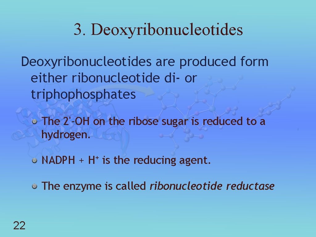 Lecture 12 Nucleotide Biosynthesis Chem 454 Regulatory Mechanisms