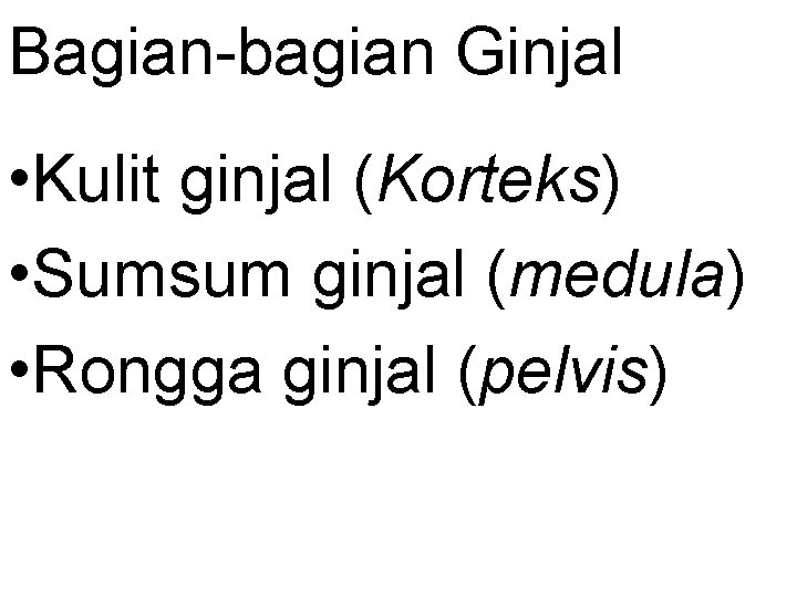 SISTEM EKSKRESI PADA MANUSIA DAN HUBUNGANNYA DENGAN KESEHATAN