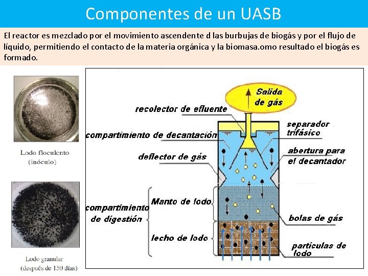 Control Operacional de Reactores anaerobios Ing Pedro E