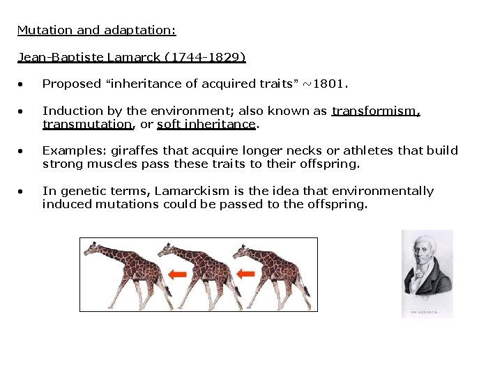 Chapter 7 a DNA mutation and repair Mutation