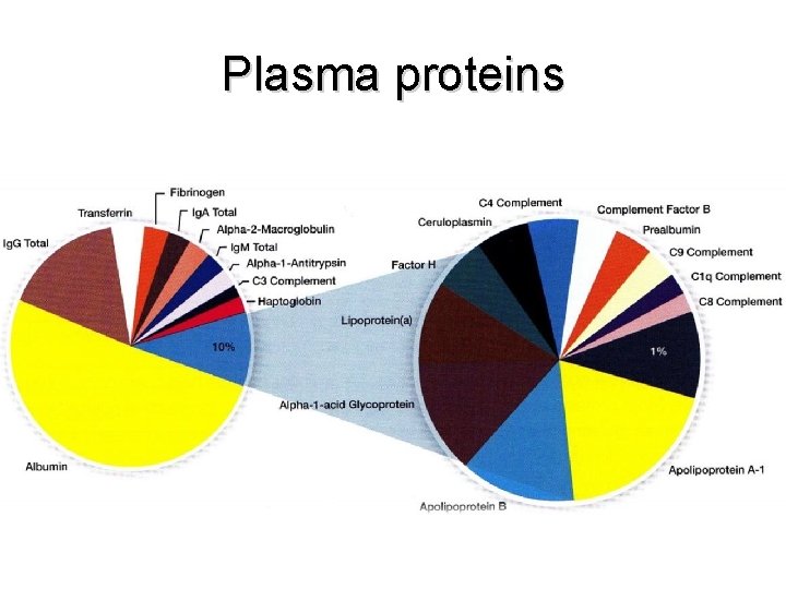 Plasma proteins Jana varcov Plasma proteins concentration 65
