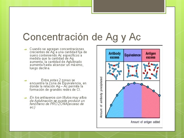 Interaccin Antgeno Anticuerpo AgAc Caractersticas Relacin bimolecular No