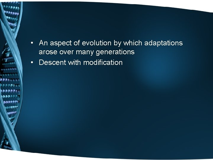 Evolution The process of biological change by which