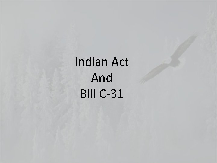Indian Act And Bill C31 Introduction of Indian