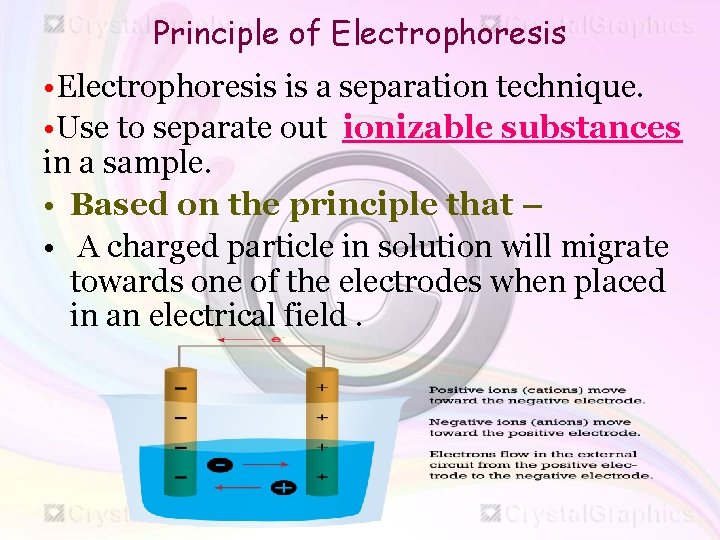 Electrophoresis Electrophoresis is one of the most important