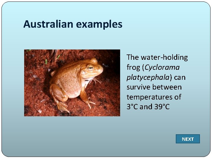 Temperature Regulation v identify the broad range of