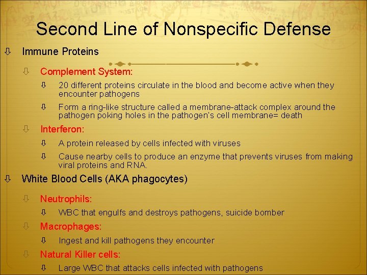 The Bodys Defense System Chapter 14 Lymphatic and