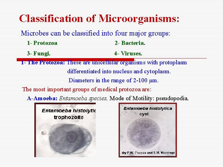 Classification of Microorganisms Microbes can be classified into