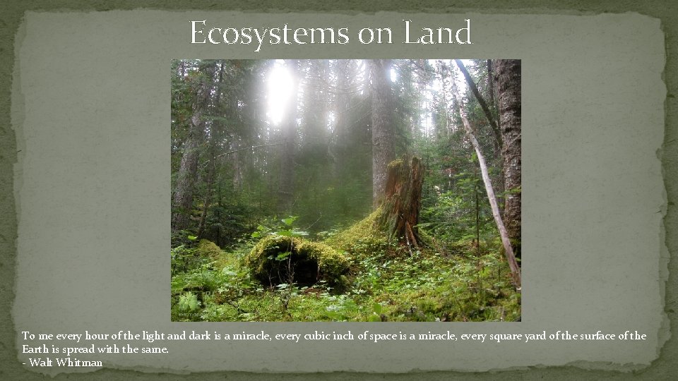 Ecosystems on Land To me every hour of
