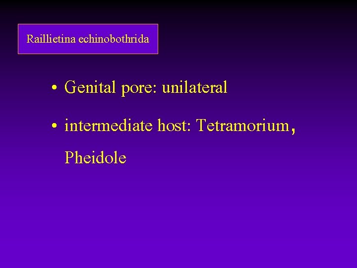 Cestode of Poultry Family Davaineidae Davainea proglottina Raillietina