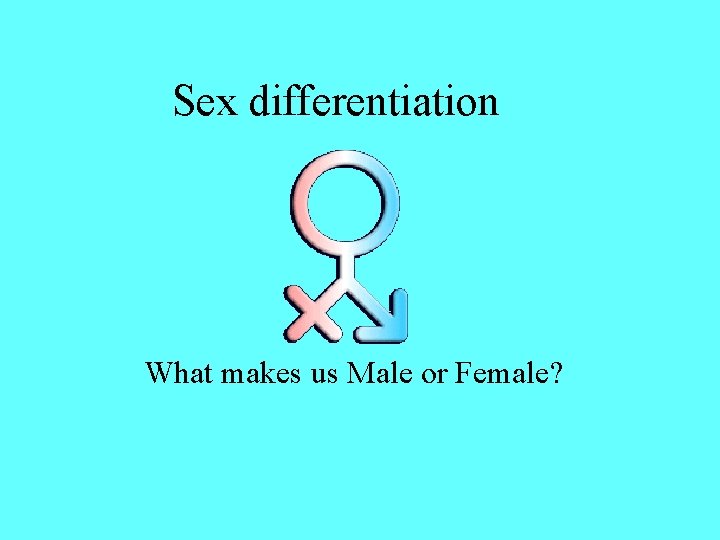 Sex differentiation What makes us Male or Female