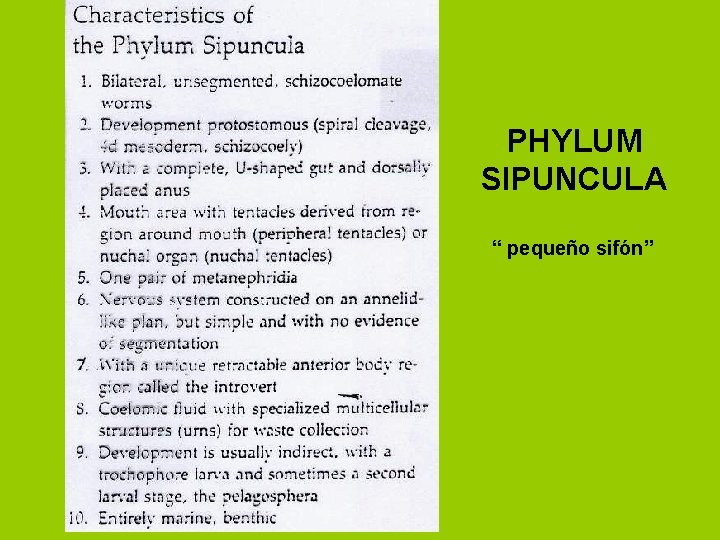 10 PROTOSTOMADOS MENORES PHYLA SIPUNCULA ECHIURA 320 spp