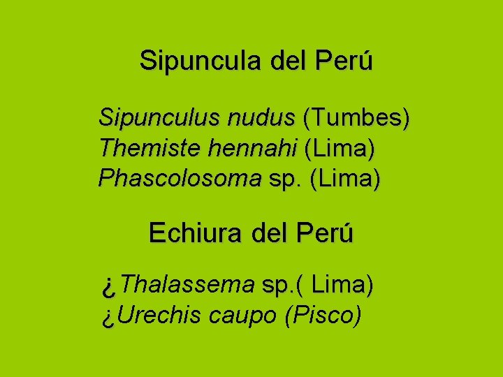 10 PROTOSTOMADOS MENORES PHYLA SIPUNCULA ECHIURA 320 spp